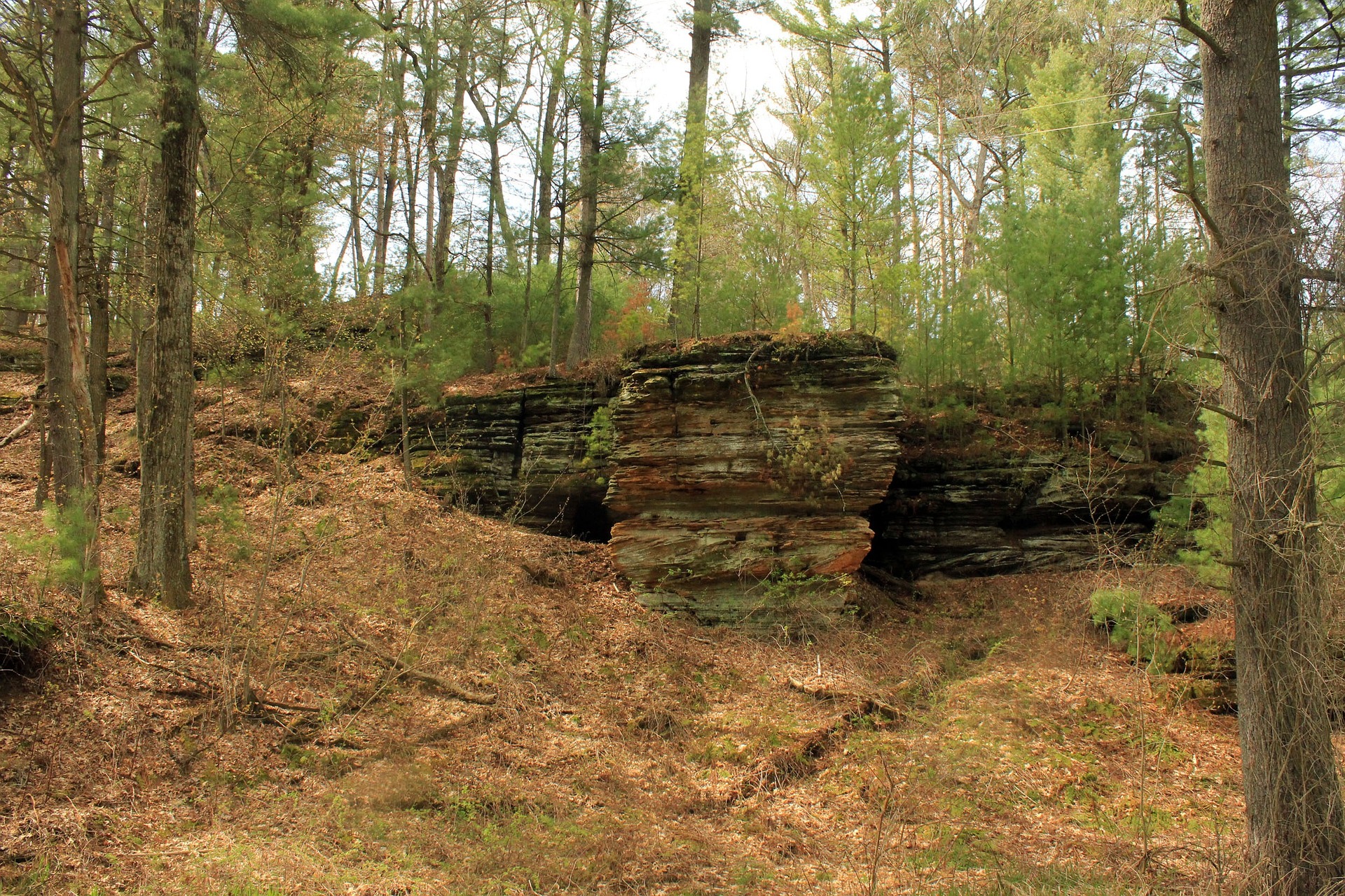 Green Wisconsin: Conservation Efforts to Protect the Environment ...